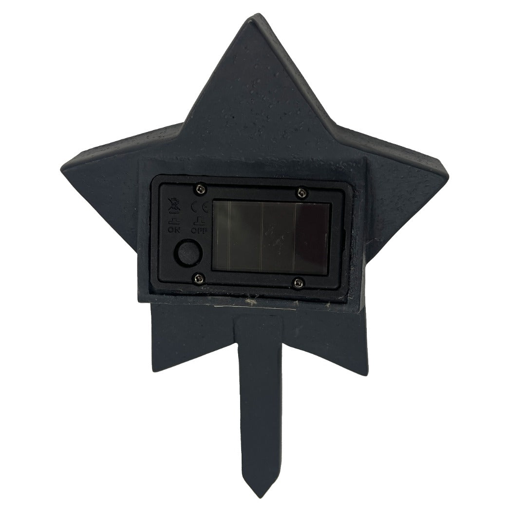 Special Dad Memorial Star Solar Light Remembrance Verse Ground Stake P ...